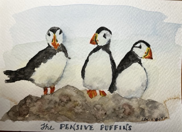Wednesday, December 3, 2025 The Workshop: Puffed Up with Puffins ...