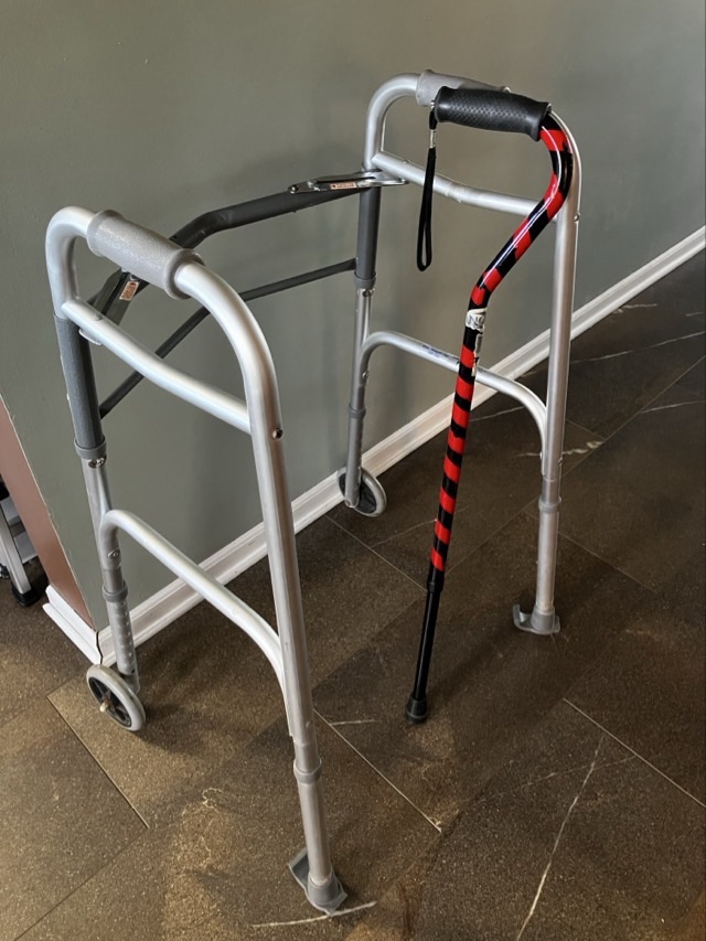 Monday, February 16, 2026 Walker and Cane – Lynniebeemuseoday